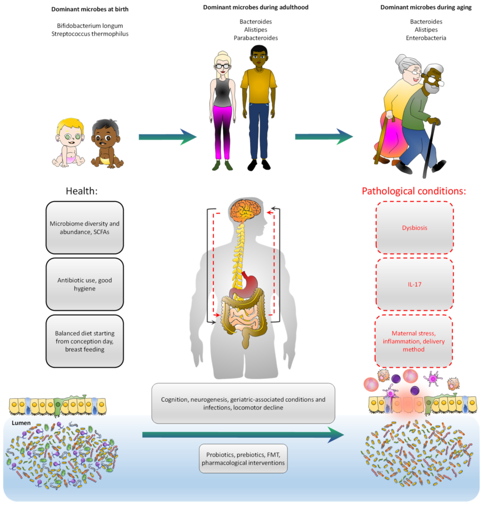 A Pilot Interaction Analysis of Gut Microbiota and Peripheral Markers ...