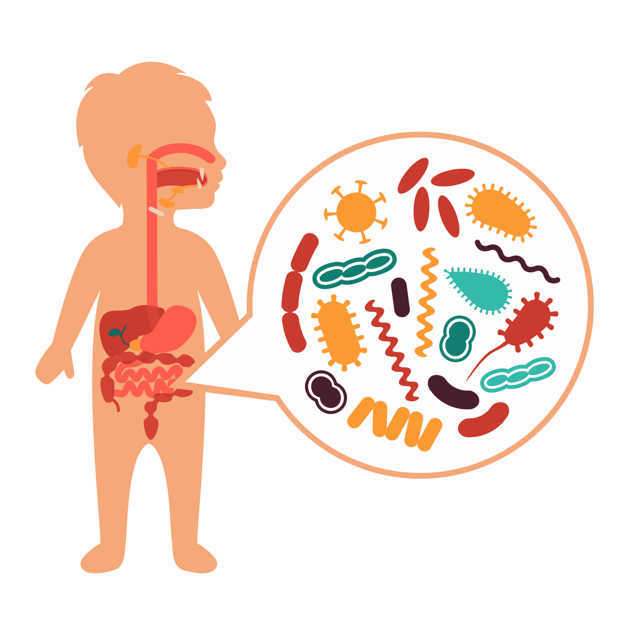 Systematic review of associations between gut microbiome composition ...